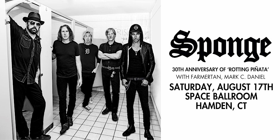 Sponge - Visit New Haven CT